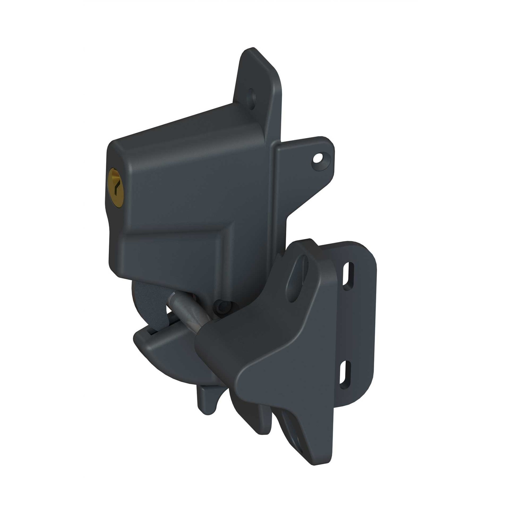 Nationwide Keystone 2 One Sided 6-Pin Lockable Nylon Gate Latch for all ...