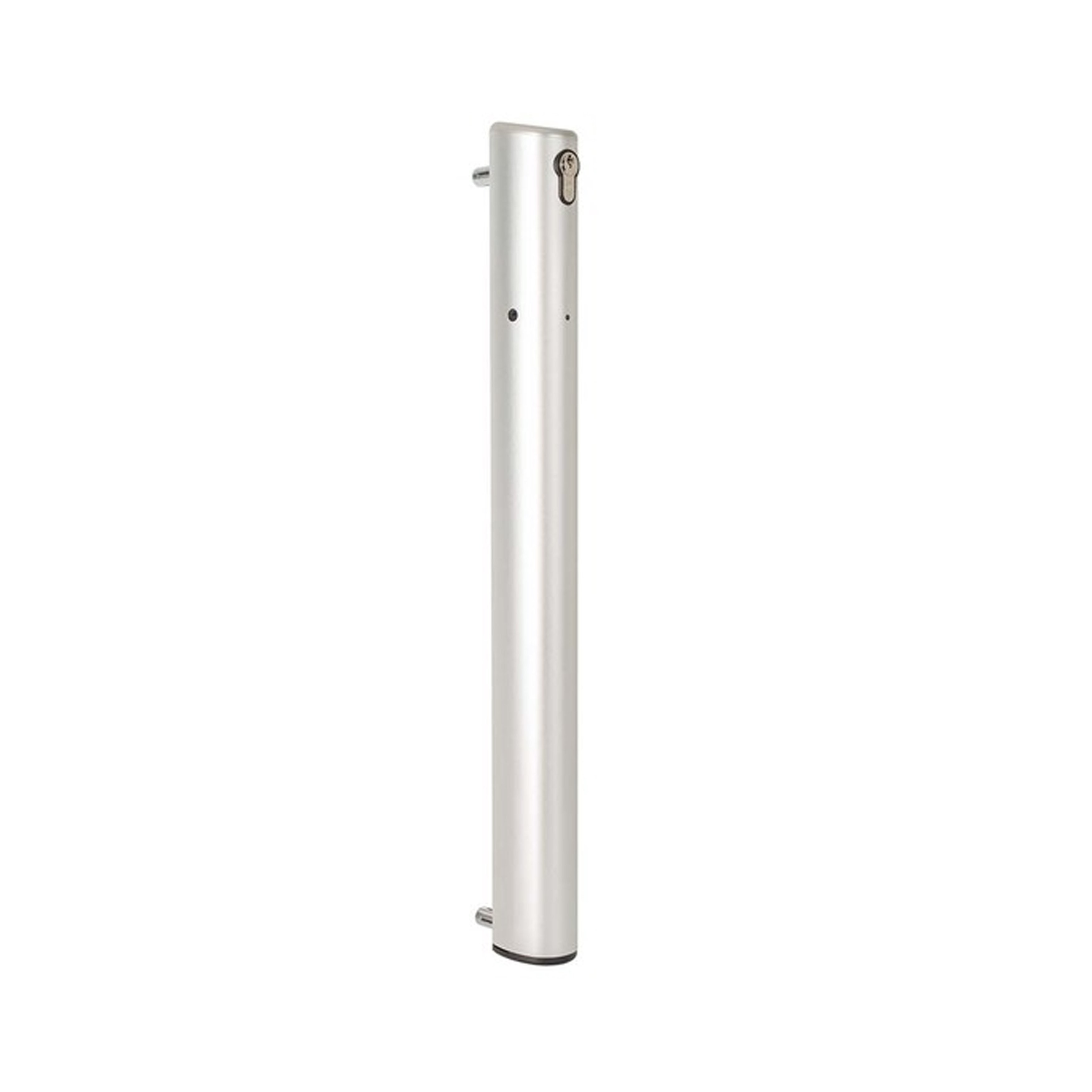 Locinox Motorized Drop Bolt with Integrated Emergency Batteries (Silver ...
