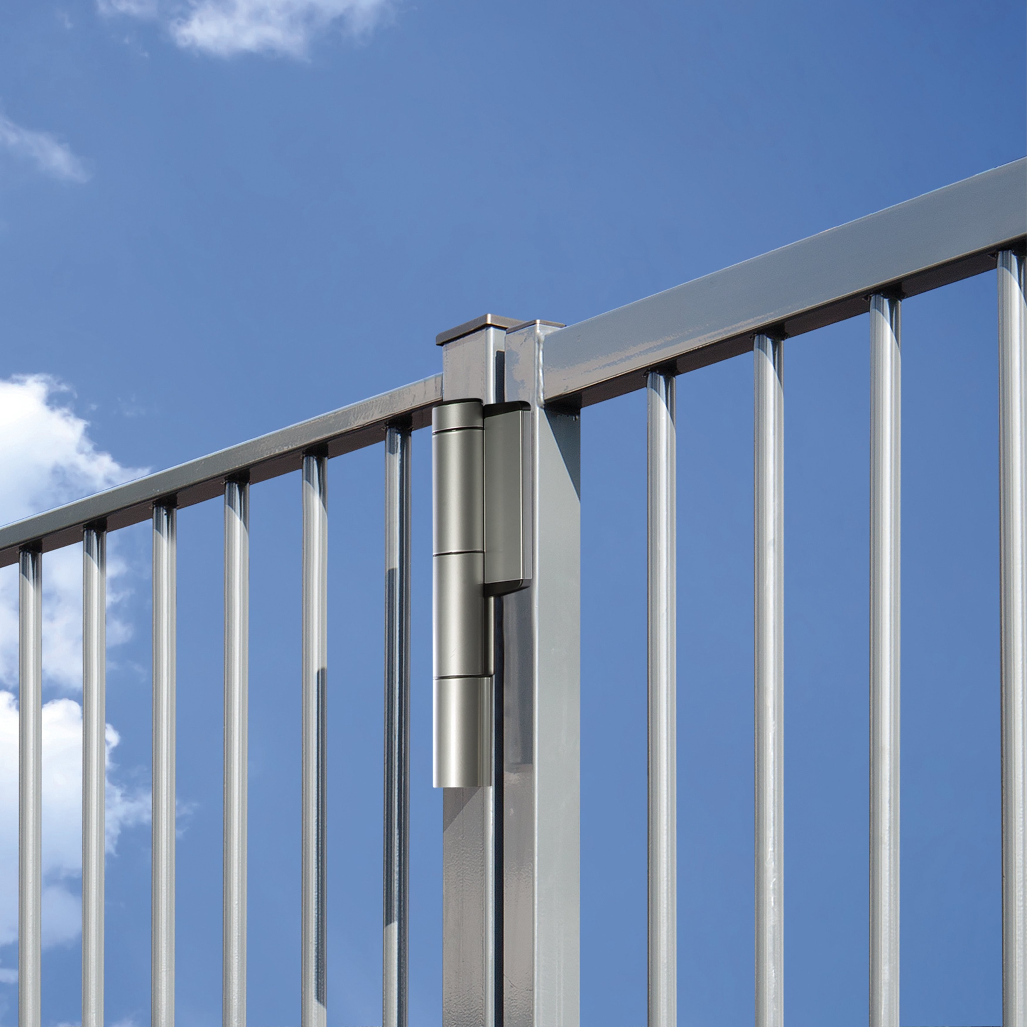 Locinox Mammoth 180° Hydraulic Gate Closer and Hinge (330lbs Capacity ...