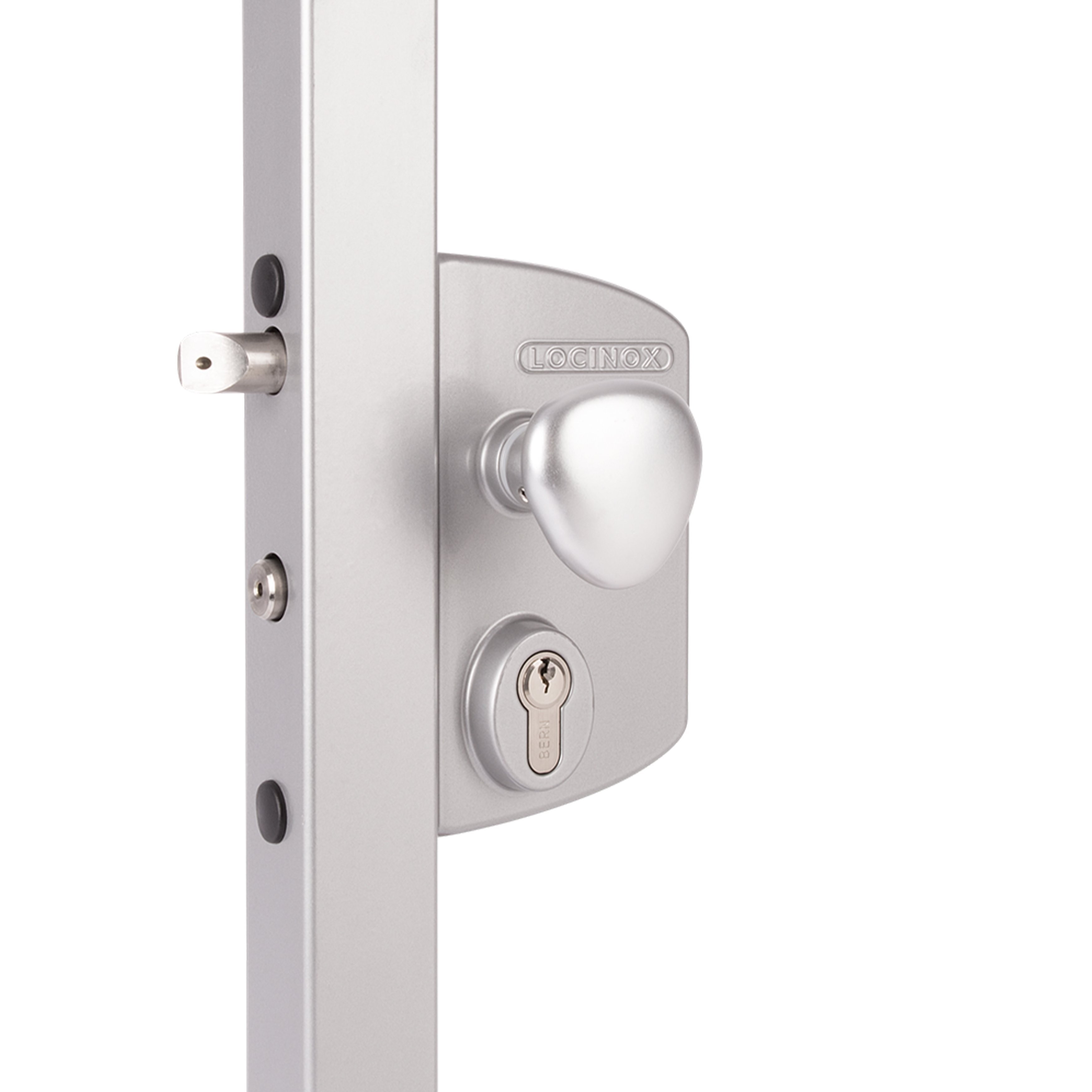 Locinox Surface-Mount Electric Fail Open Gate Lock for 1-1/2" to 2-1/2 ...